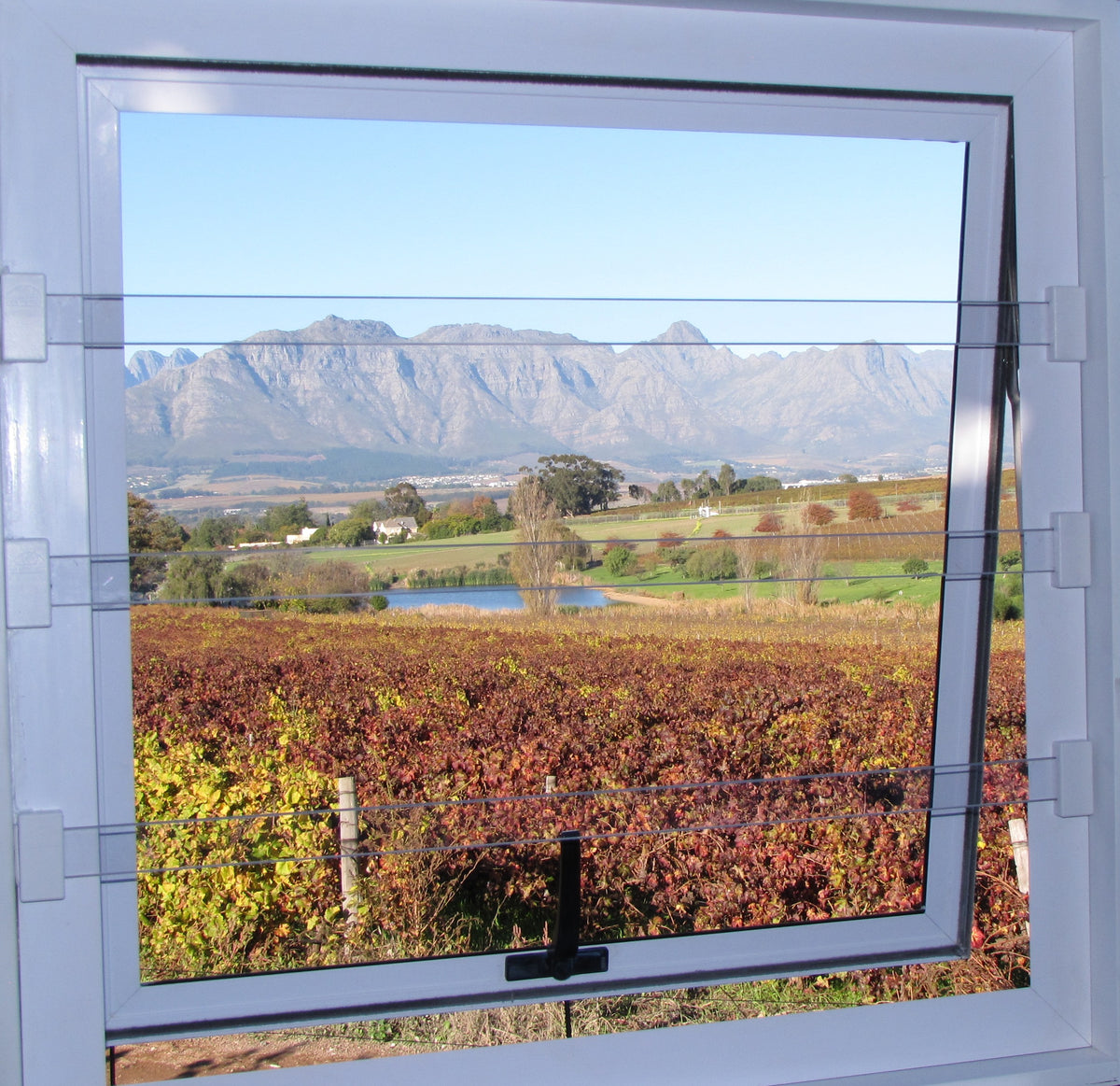 5Pack AB 39" - Armed Bars - Transparent Window Security Barriers and A ...